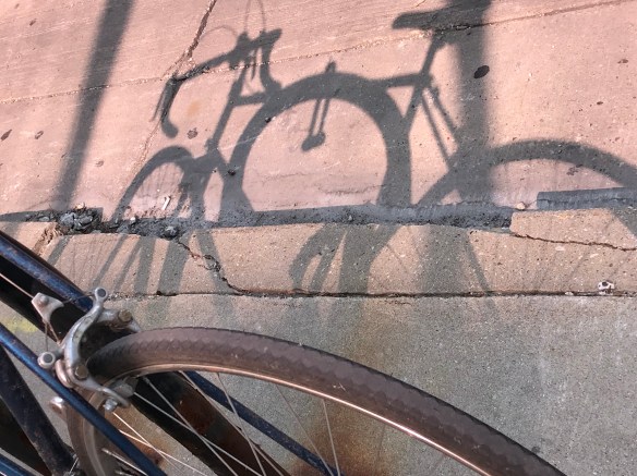 Bicycle with Shadow Sharrow | Katherine Wikoff